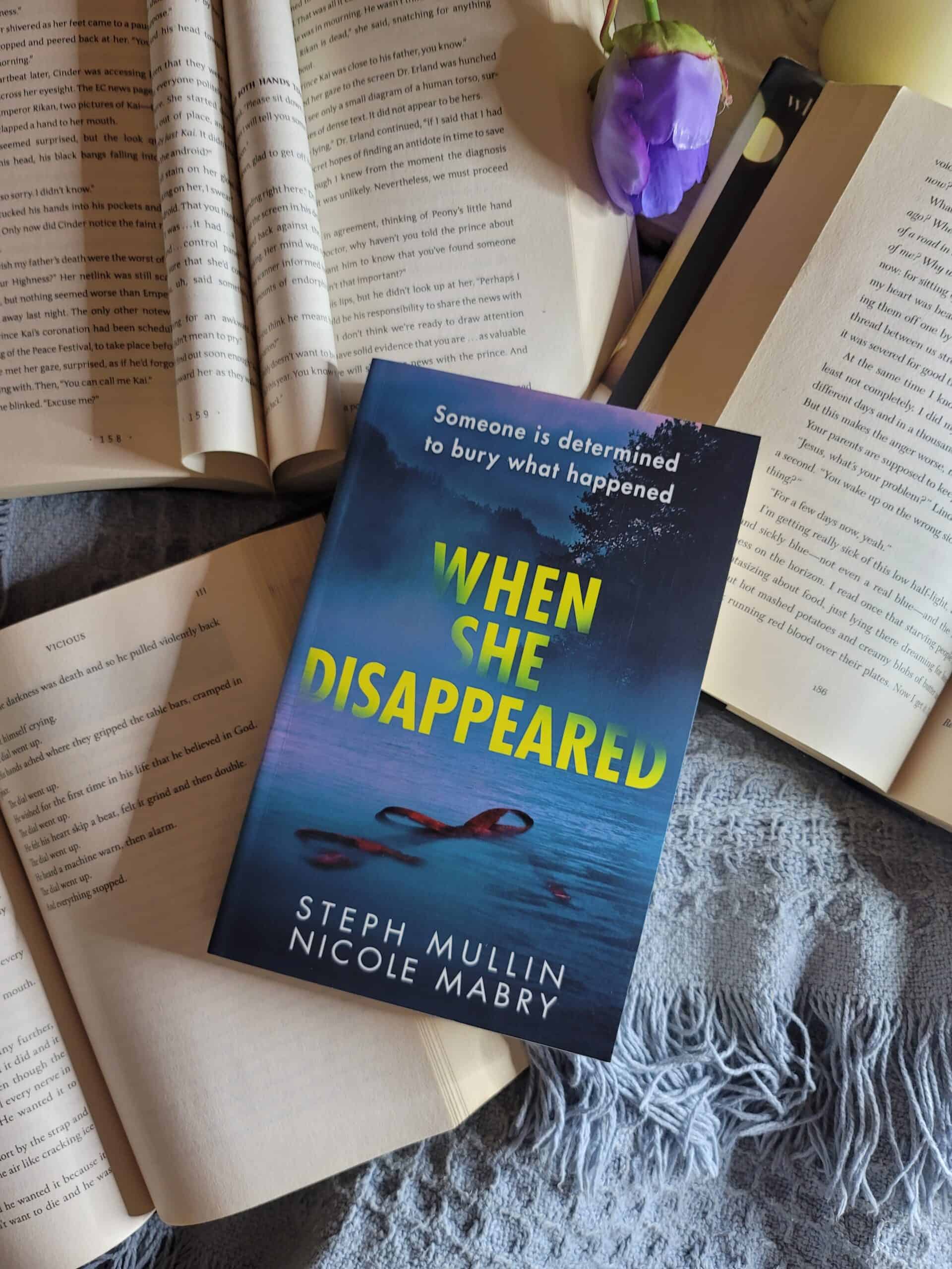 Learn the Truth About When She Disappeared - The Diary of a Reader