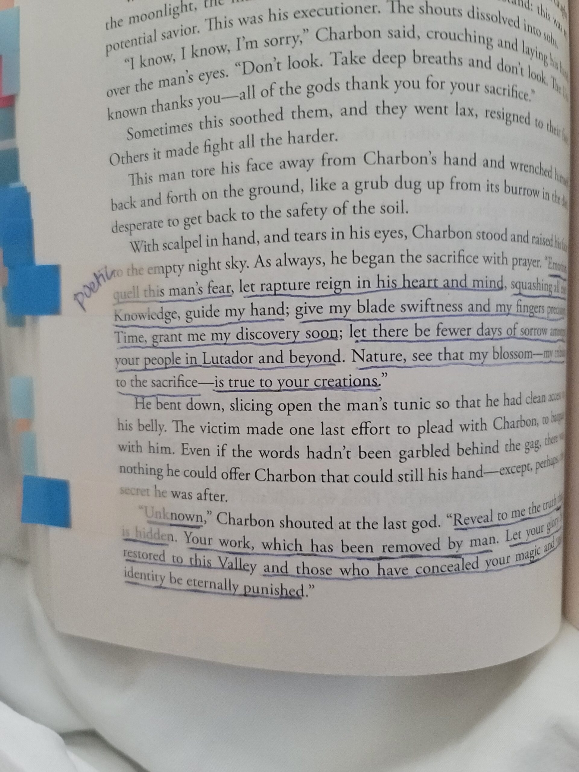 How To Guide For Annotating Books Like a Pro! - The Diary of a Reader